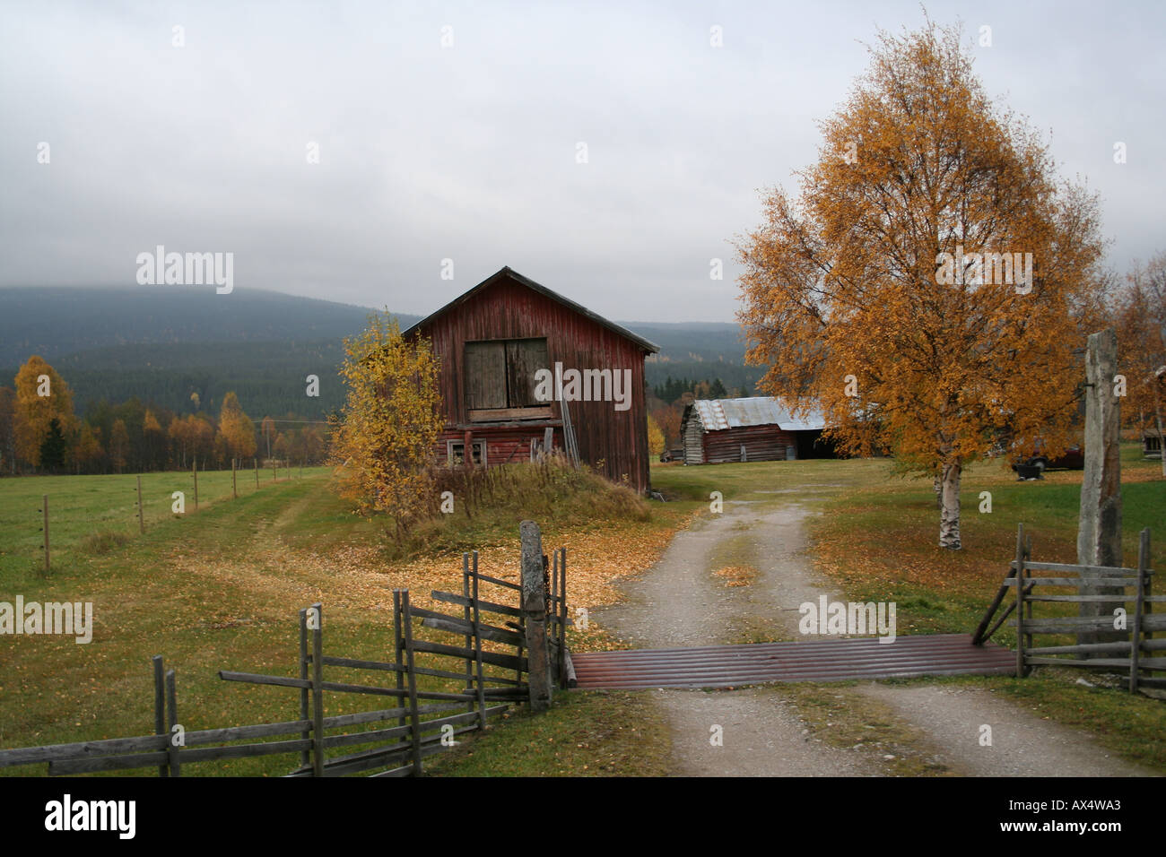 Barn in forest landscape Stock Photo - Alamy