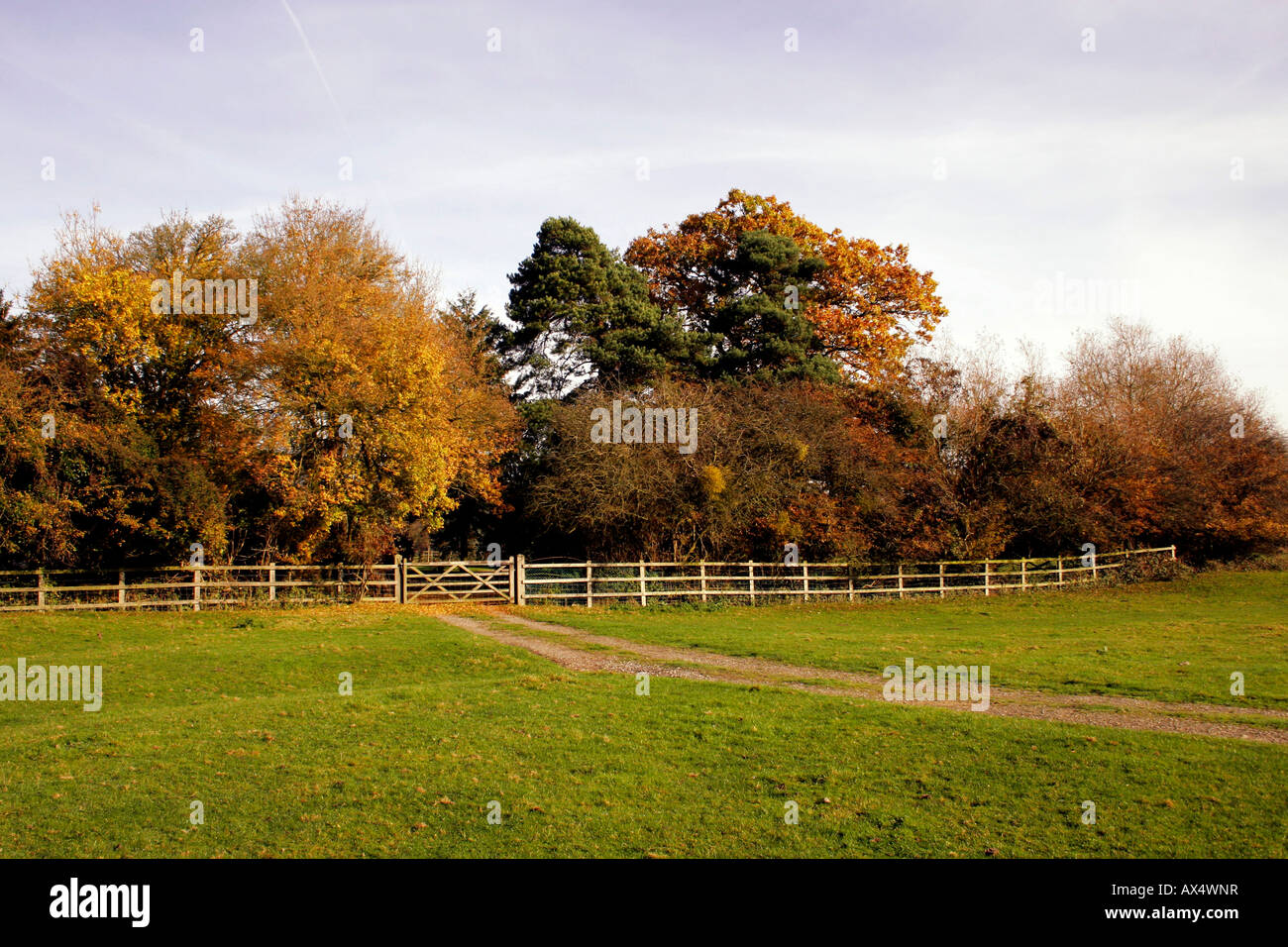 Essex scenery hi-res stock photography and images - Alamy