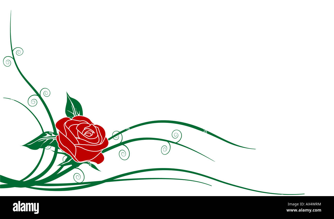 Silhouette Red Rose on White Background Stock Photo - Alamy