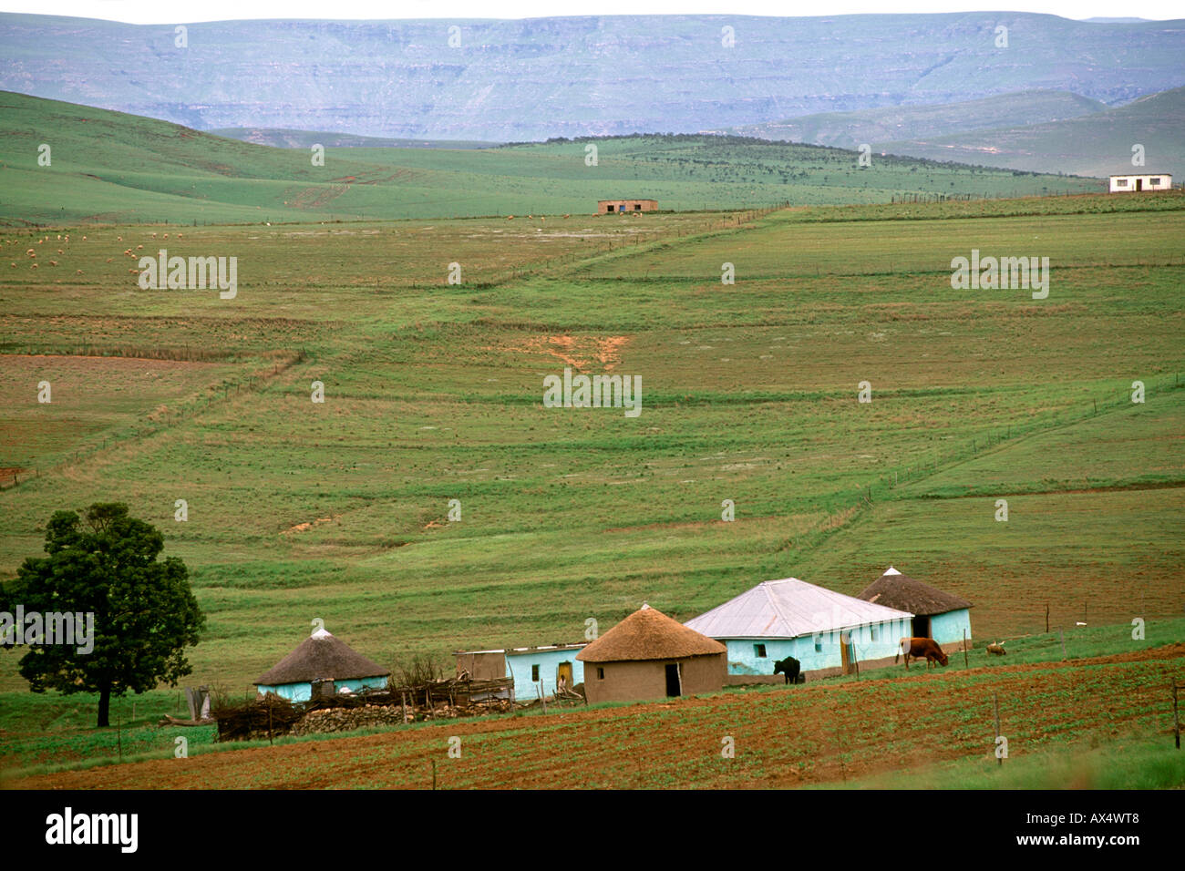 Transkei huts hi-res stock photography and images - Alamy