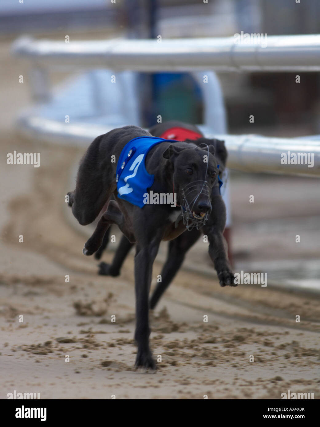Sand of greyhound track hi-res stock photography and images - Alamy