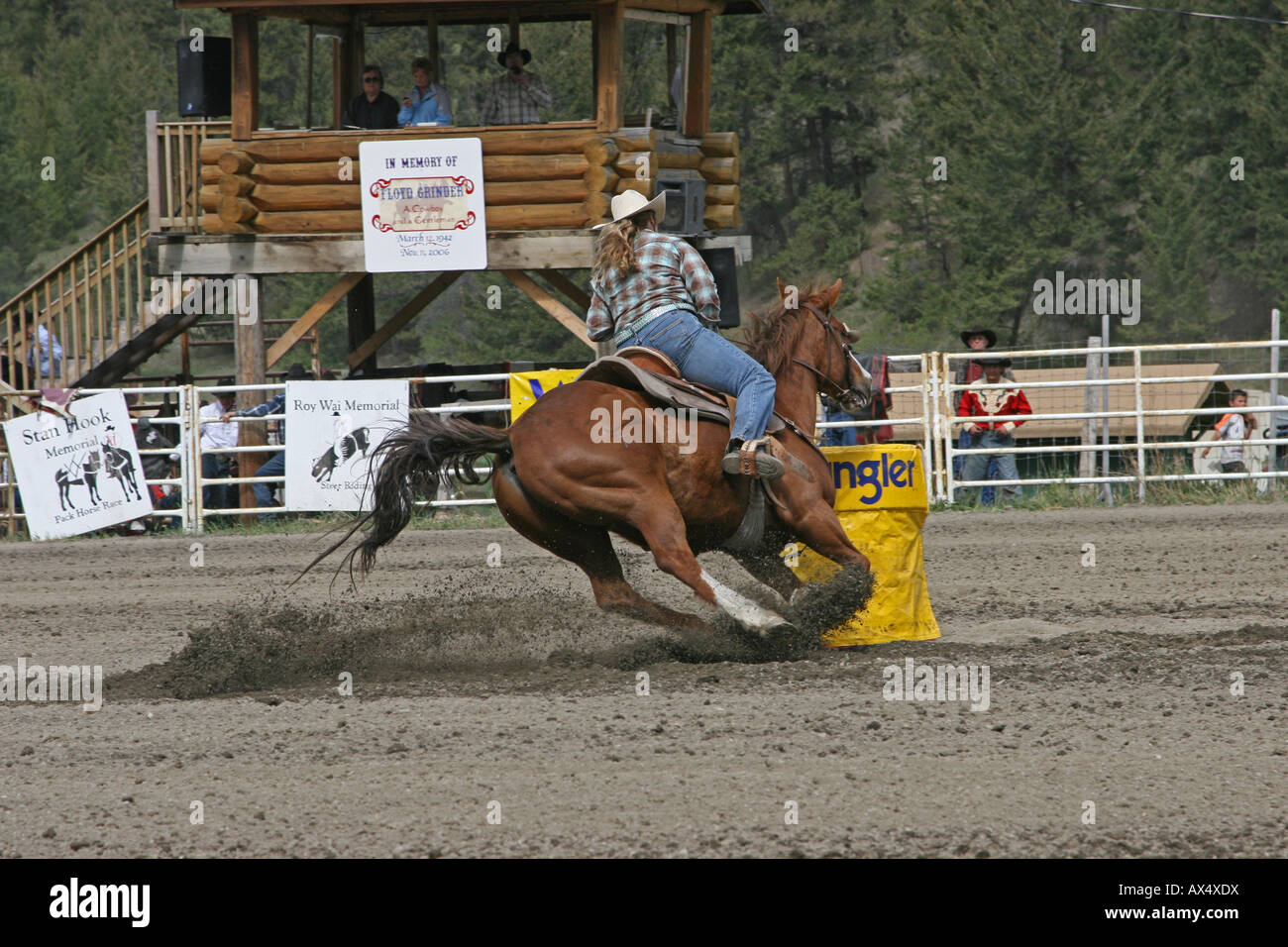 Barrel racing at a rodeo Stock Photo - Alamy