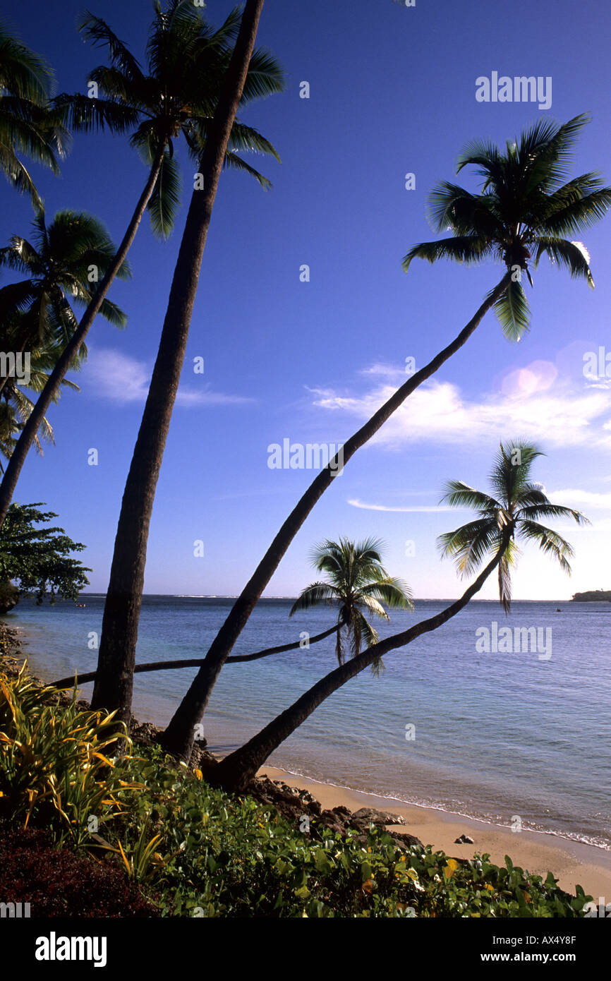 Beautiful Beach and Palms Nadi Bay Area in the Fiji Islands Stock Photo ...