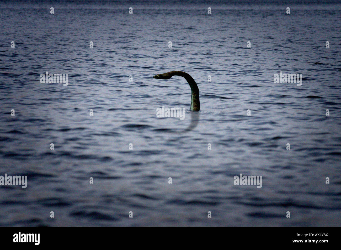 Loch ness monster hi-res stock photography and images - Alamy