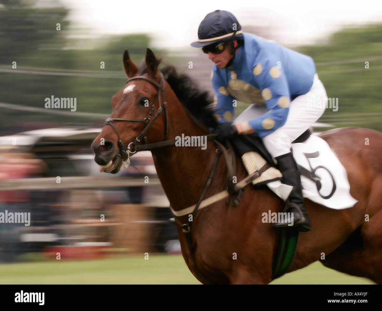 Steeplechase horse racing hi-res stock photography and images - Alamy
