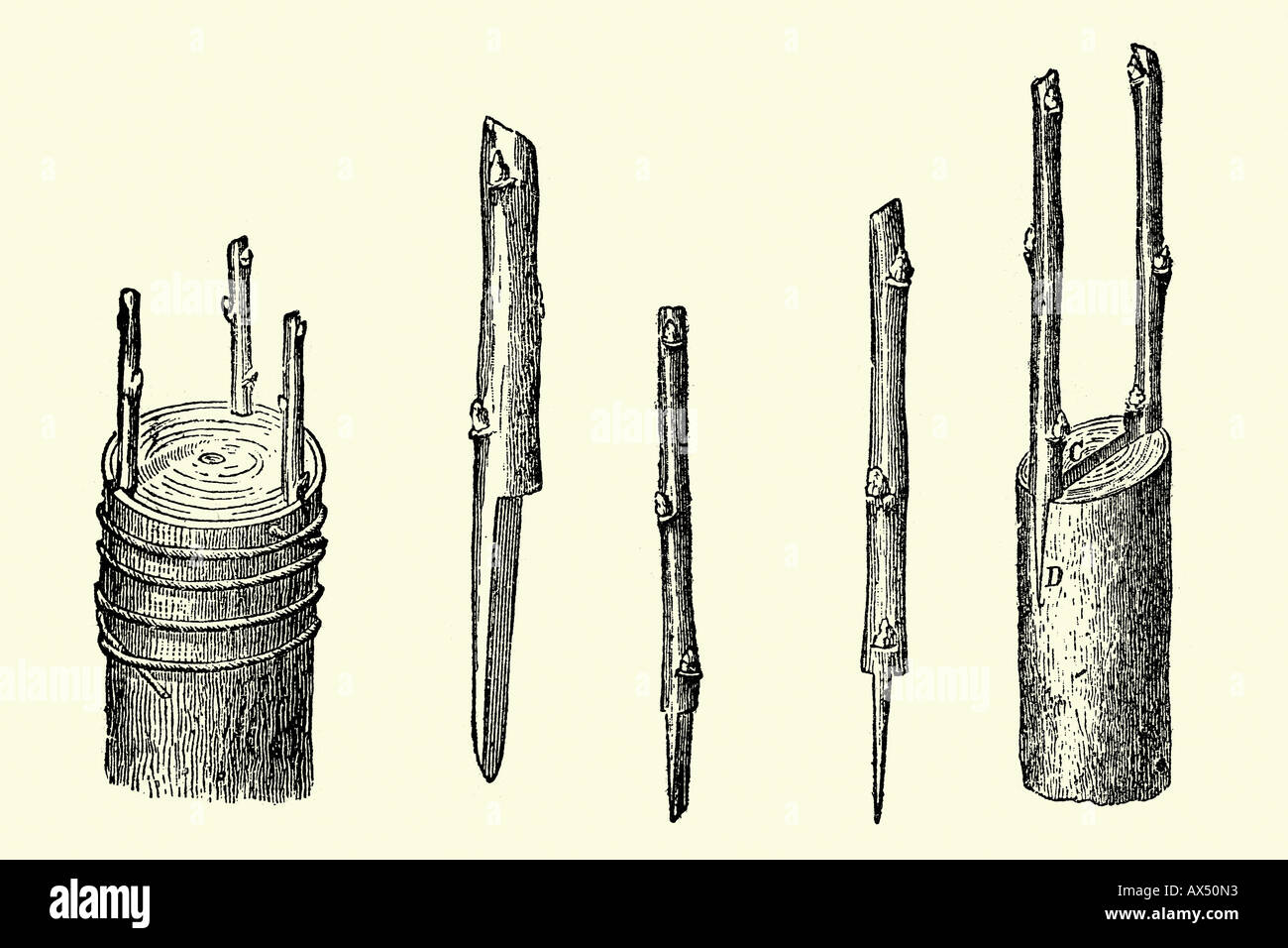 Grafting art hi-res stock photography and images - Alamy