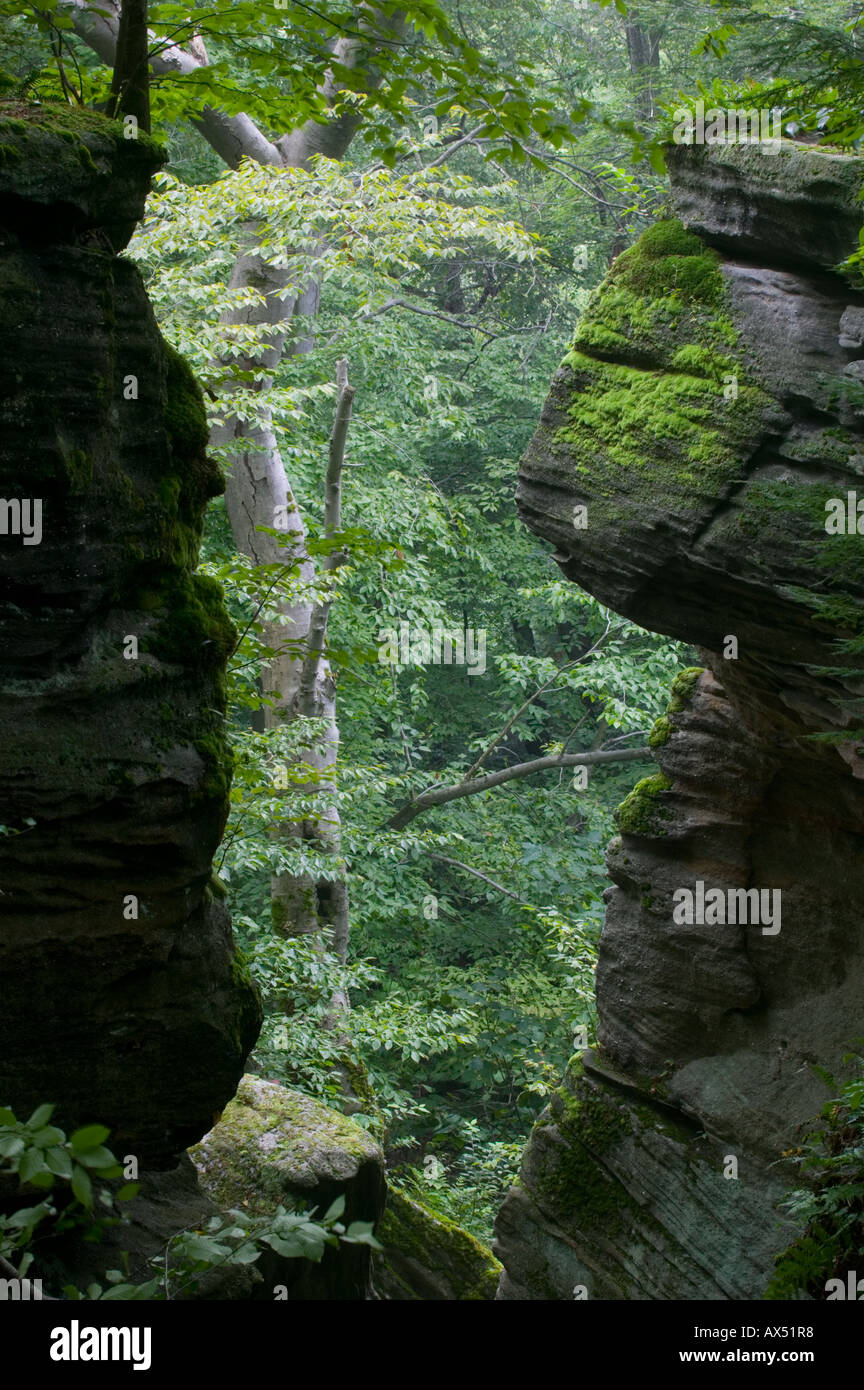 Panama Rocks Chautauqua County New York is an ancient petrified forest ...