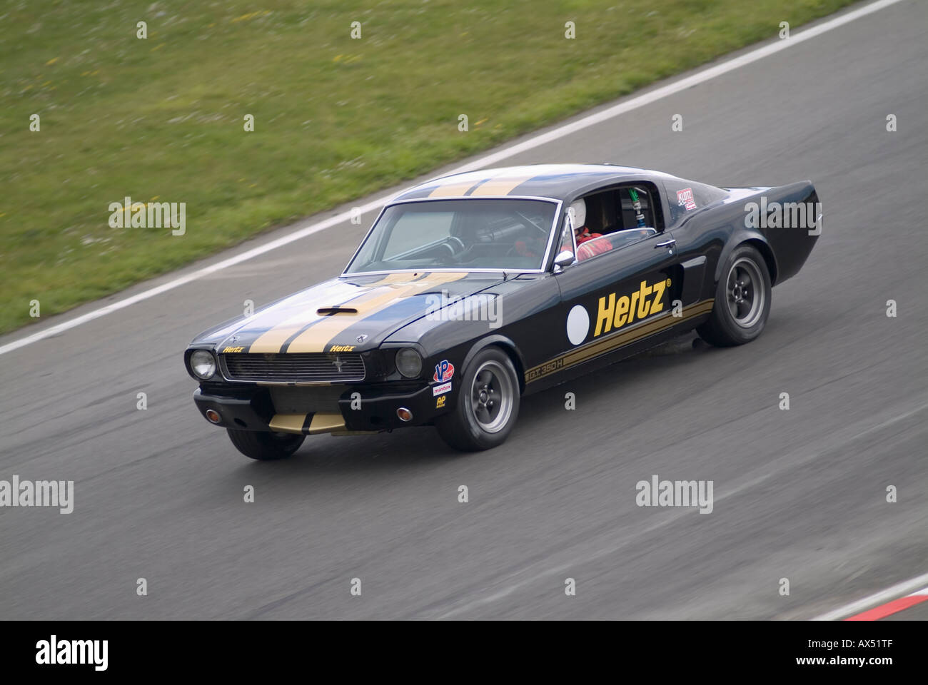 Shelby Mustang GT350H car on a race track Stock Photo - Alamy