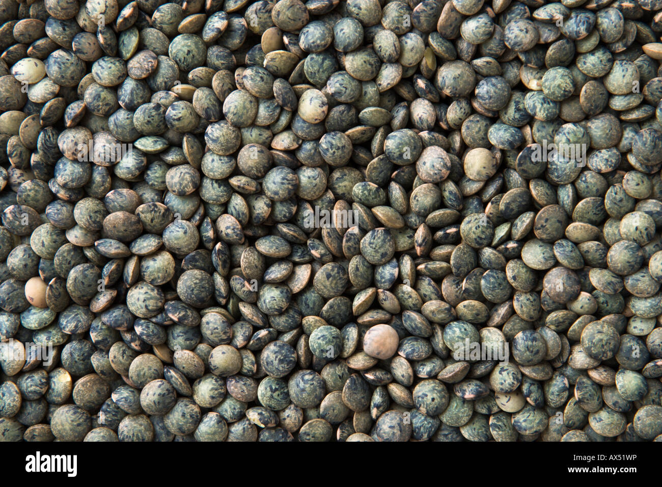 Lenteja verde puy hi-res stock photography and images - Alamy