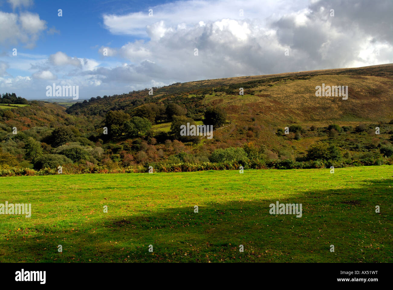 Belstone Common. Dartmoor National Park Stock Photo - Alamy