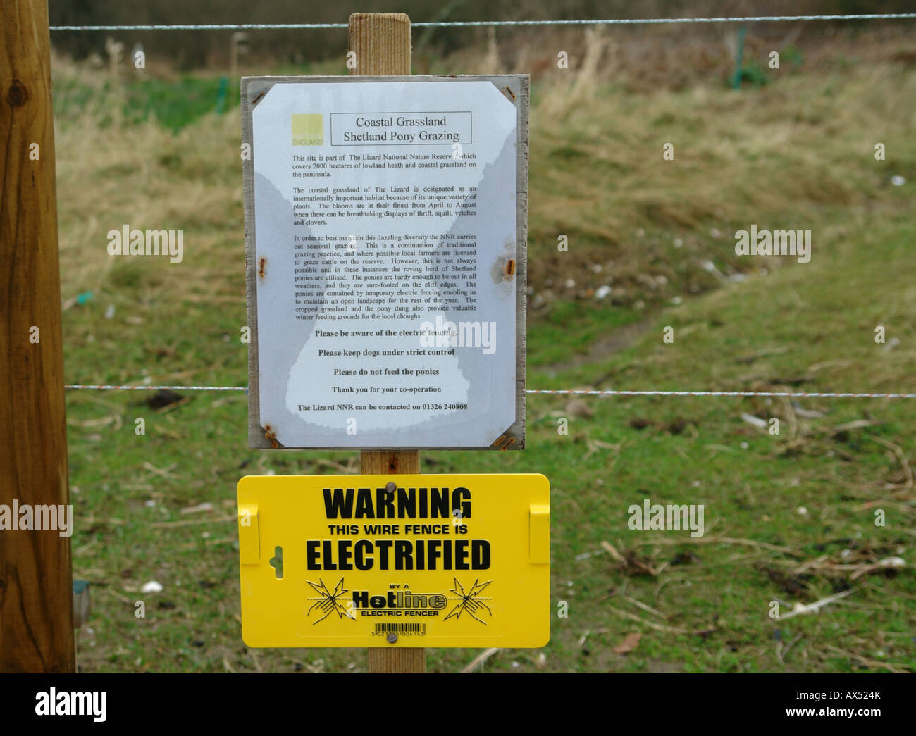 Kennack Sands Kuggar near Helston Cornwall England GB UK 2008 Stock ...