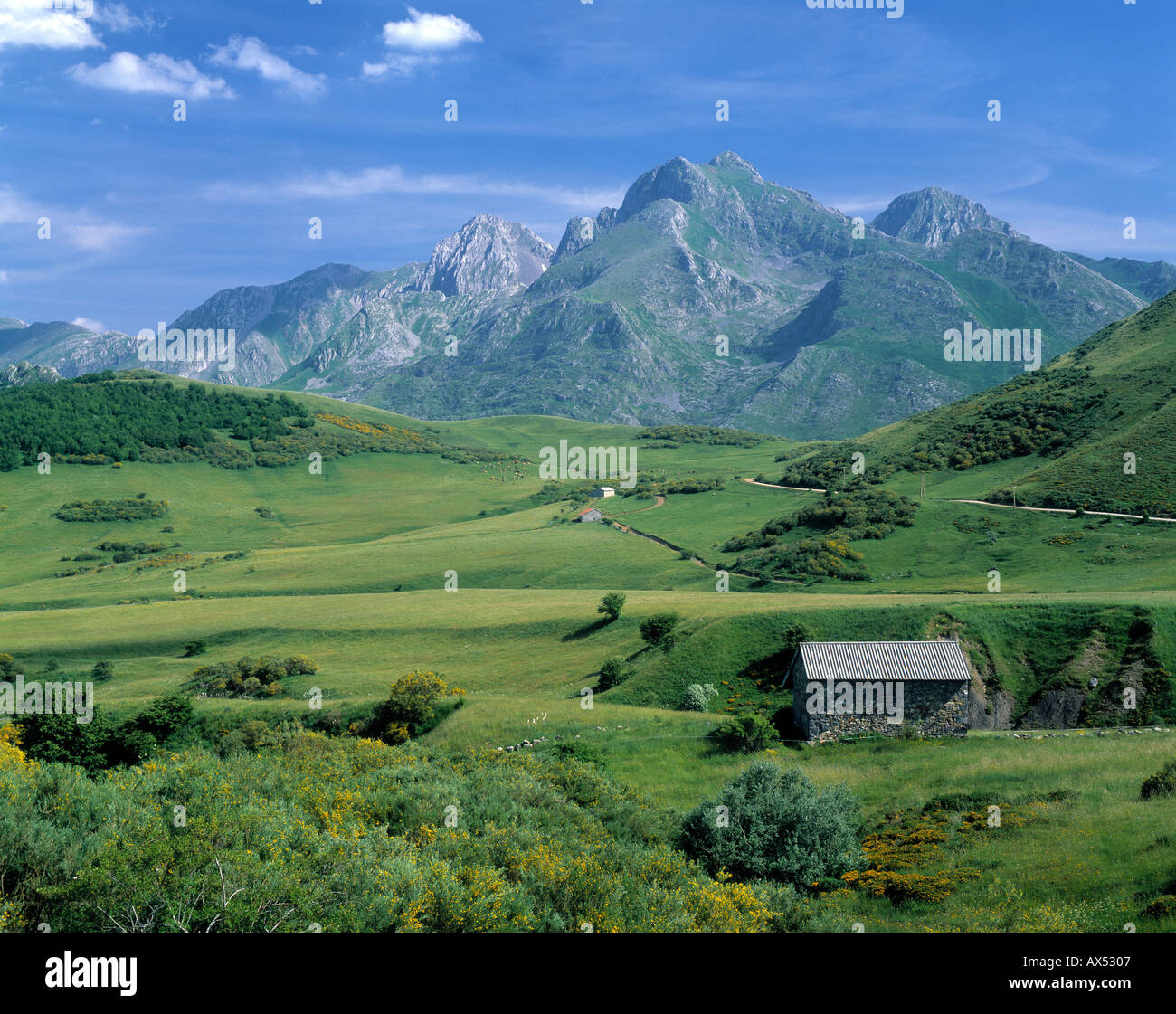 Picos de Europe Riano Castilla Leon Spain Stock Photo - Alamy