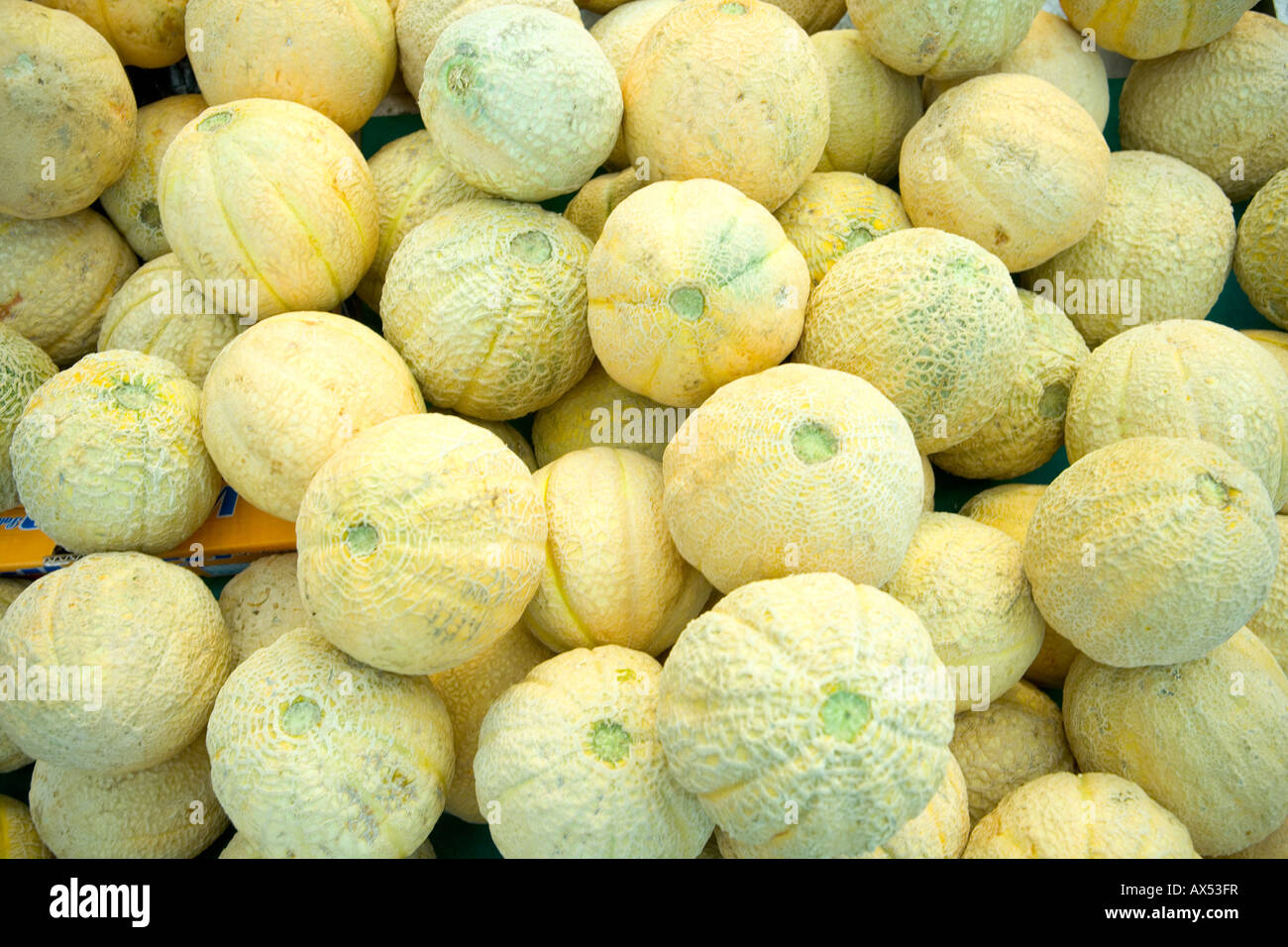 Planting melons hi-res stock photography and images - Alamy