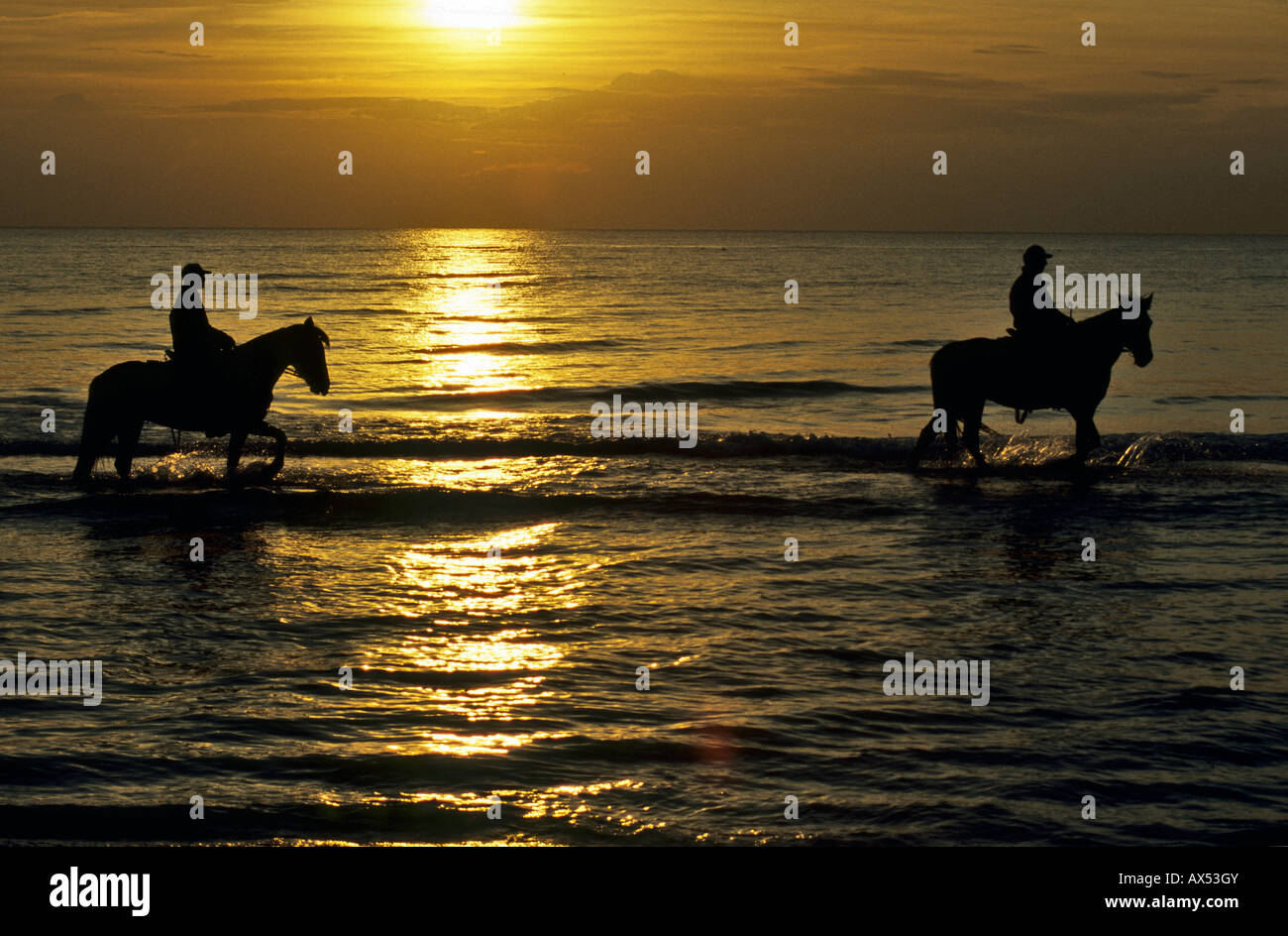 Tyrrhenian sea horse hi-res stock photography and images - Alamy