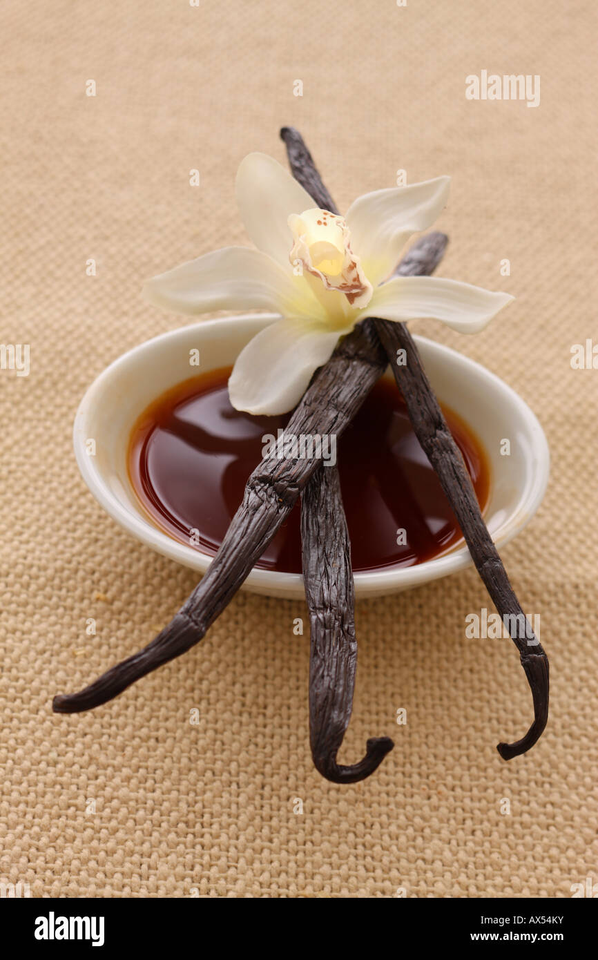 Bowl of Vanilla Extract and Dried Vanilla Beans Stock Photo - Alamy