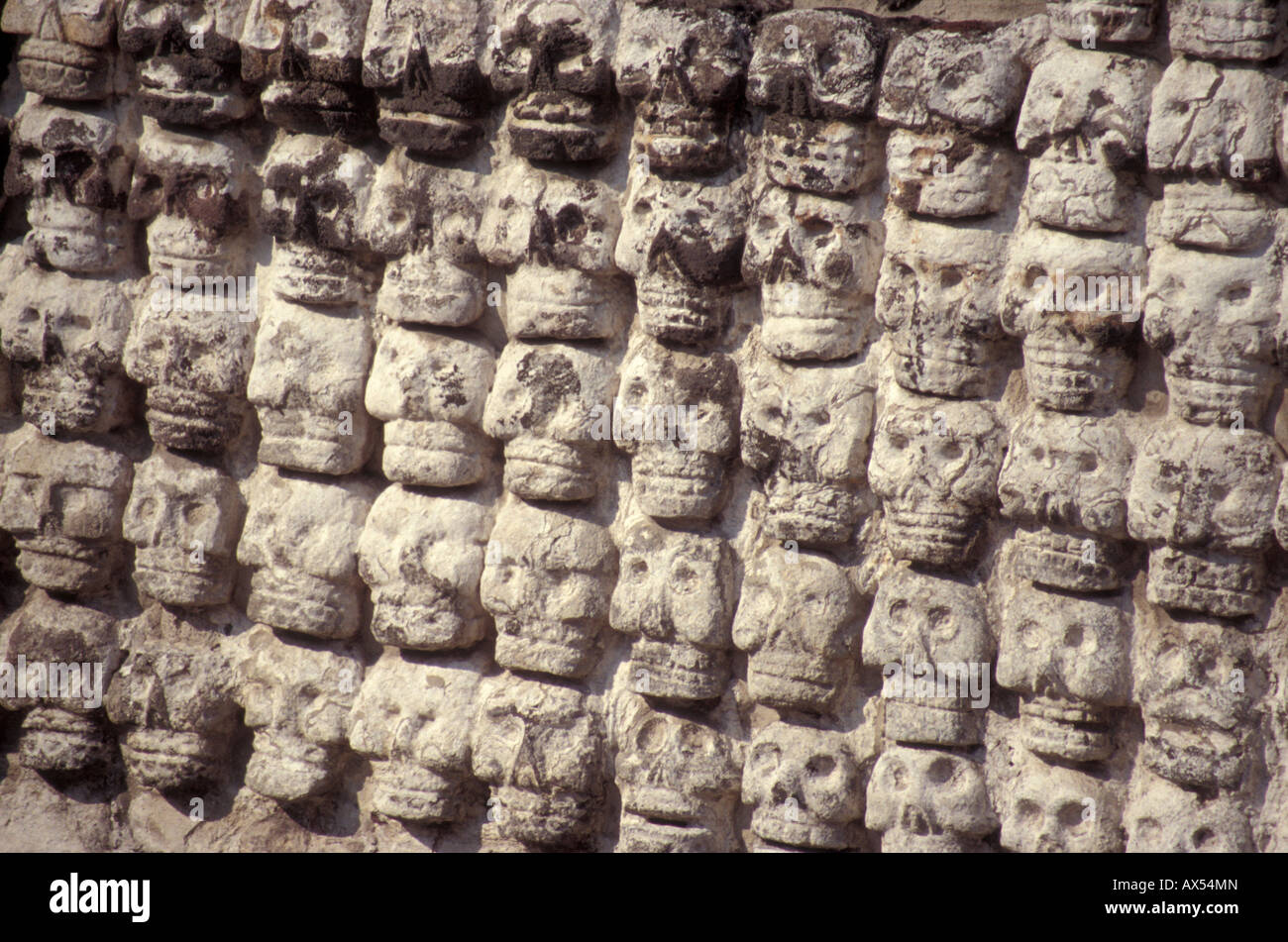The Wall of Skulls or tzompantli at the Aztec ruins of the Templo Mayor ...