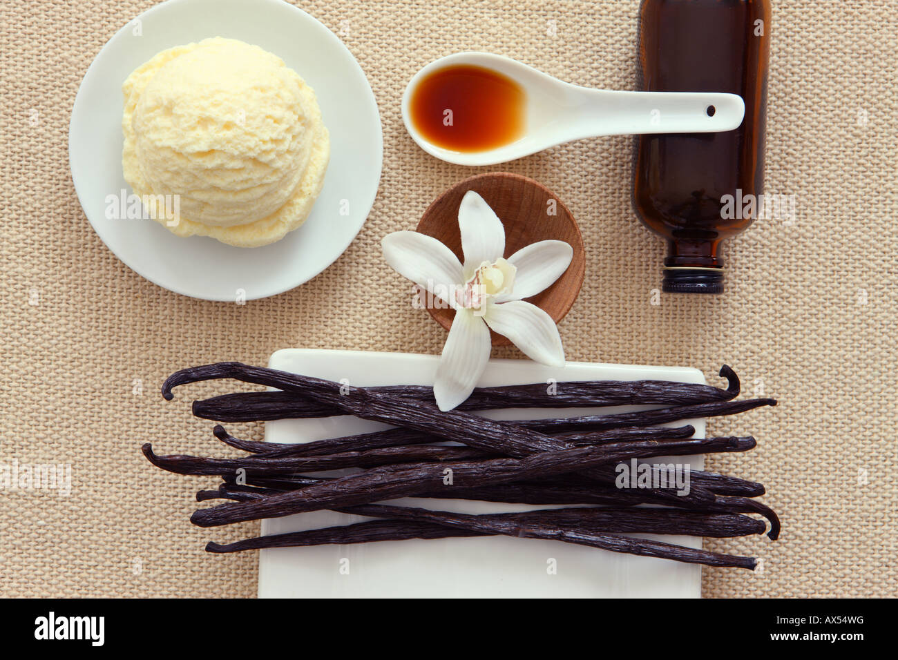 Vanilla Still Life with Vanilla Pods Vanilla Extract Vanilla Orchid and ...