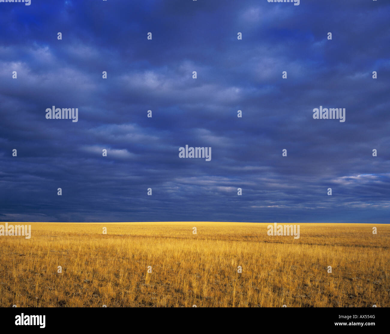 Texas panhandle hi-res stock photography and images - Alamy