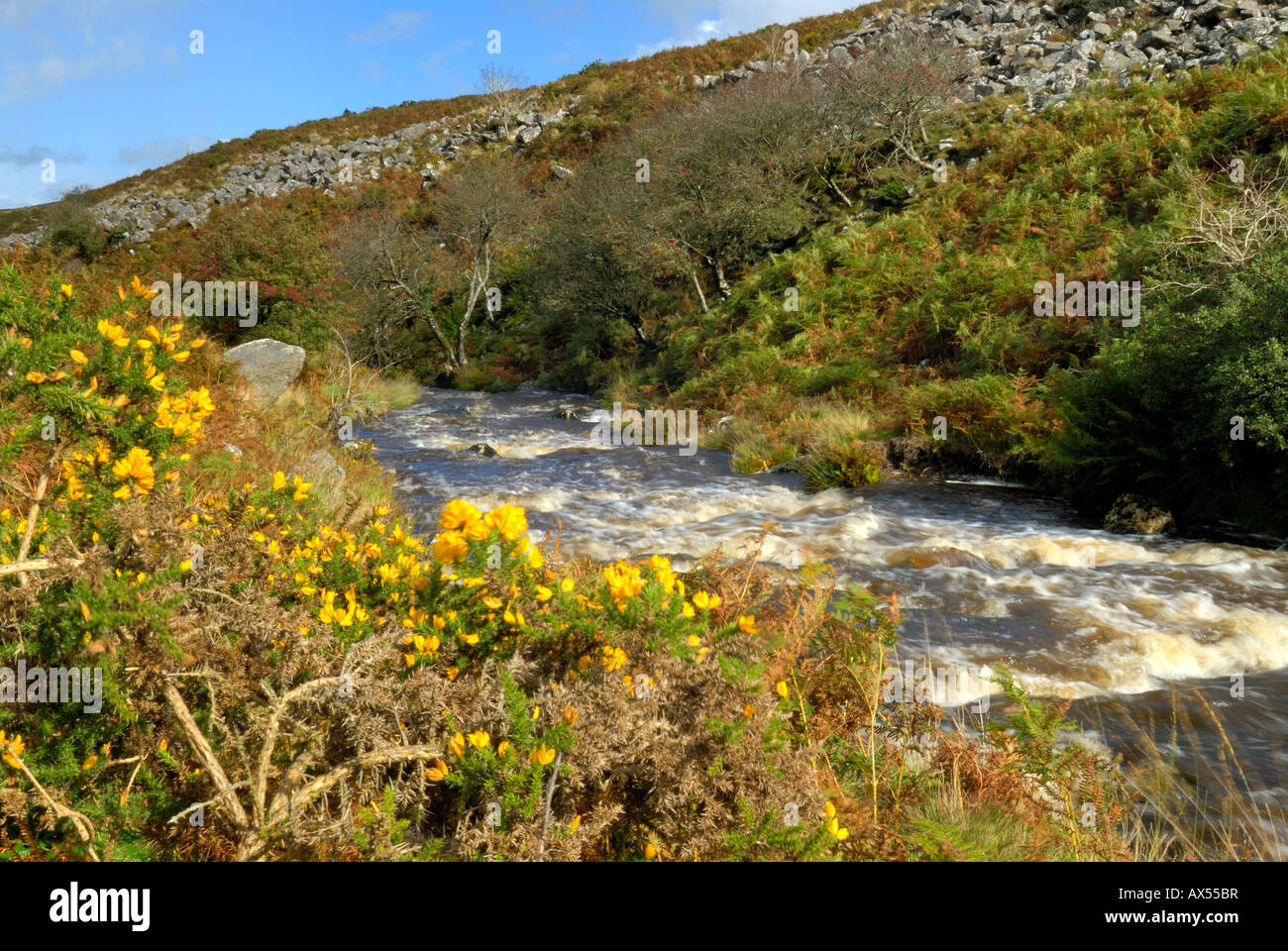 Belstone Common. Dartmoor National Park Stock Photo - Alamy