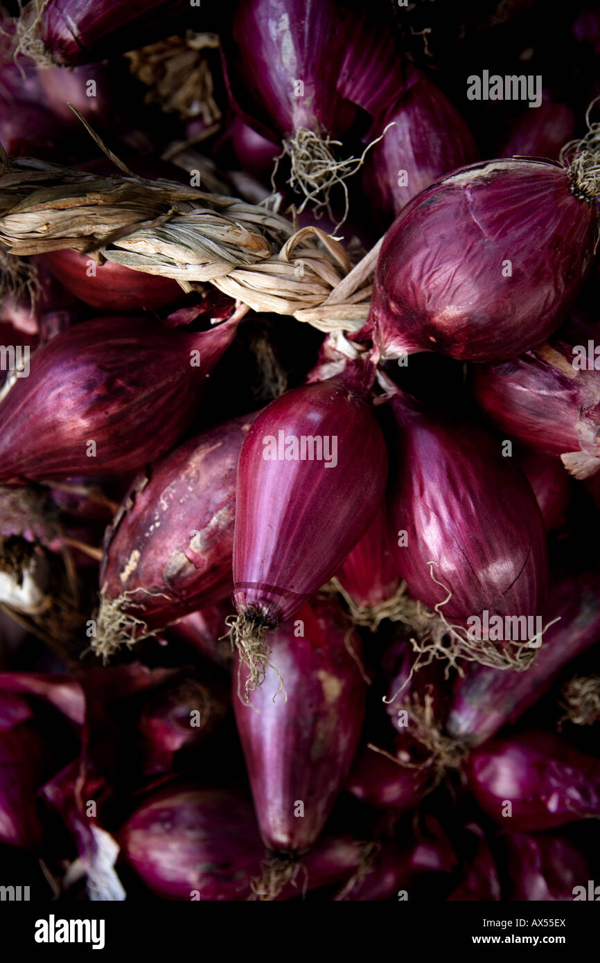 Trenchant hi-res stock photography and images - Alamy