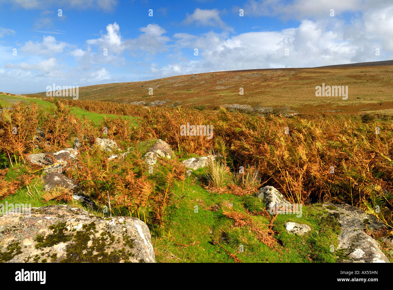 Belstone Common. Dartmoor National Park Stock Photo - Alamy