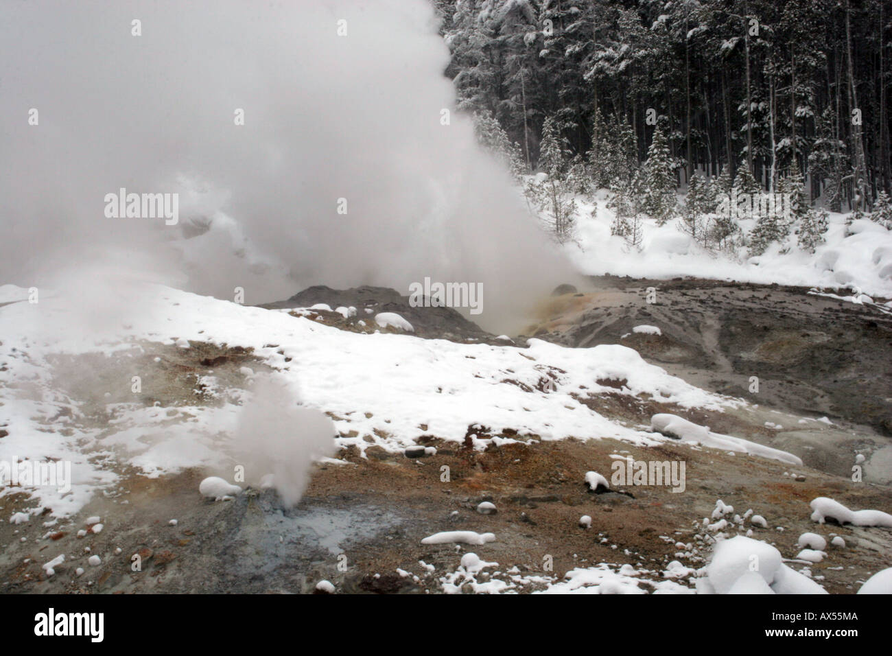 Yellowstone Park's thermal geysers against the cold snow of winter ...