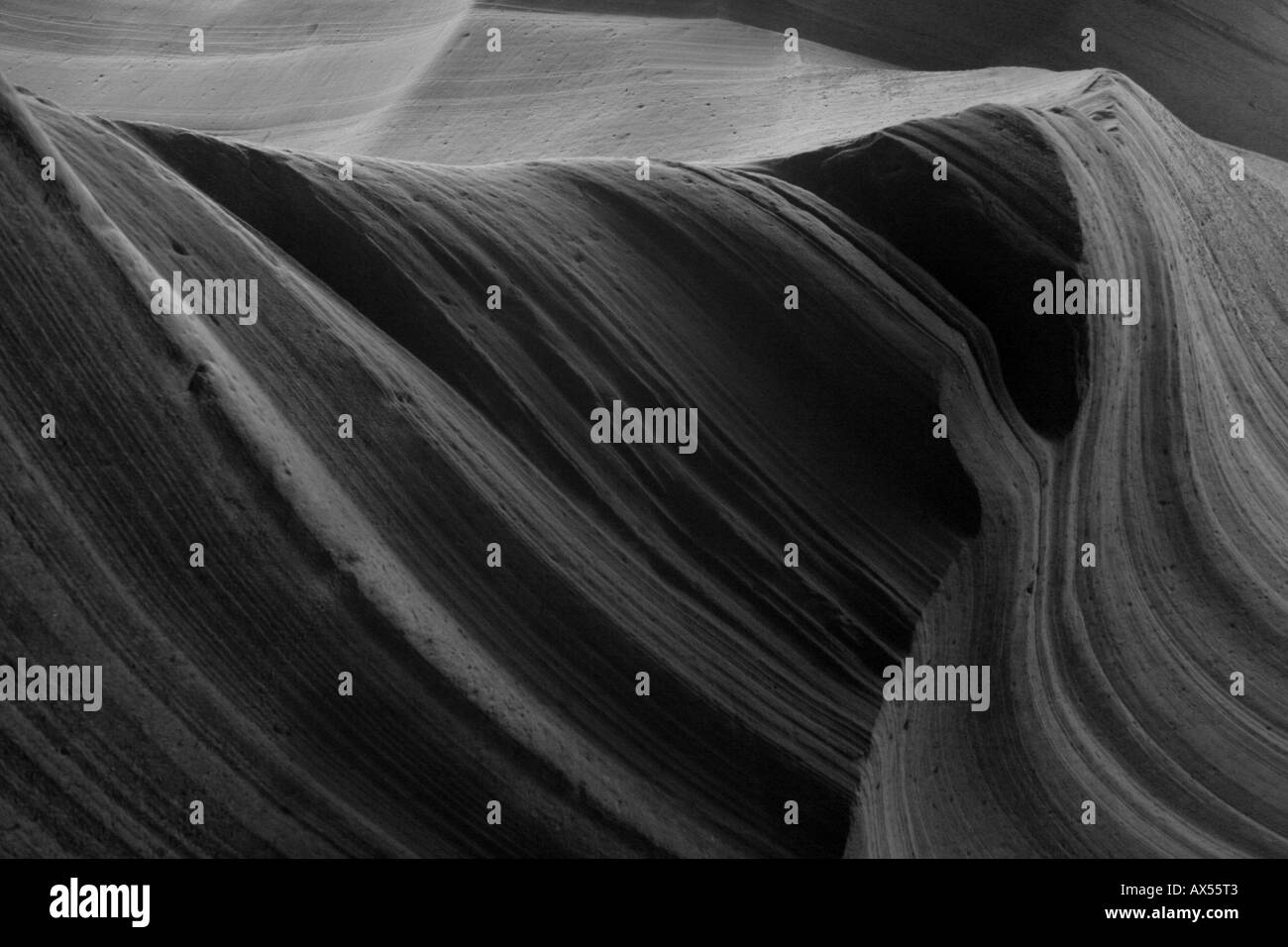 Abstract natural forms Black and White Stock Photos & Images - Alamy