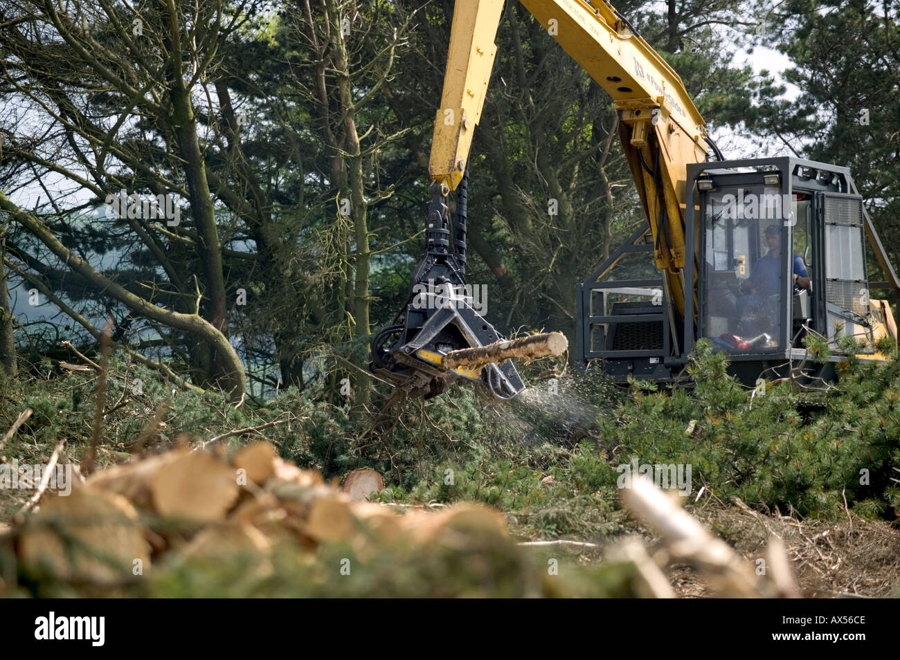 Timber Harvesting Carmarthenshire Wales Stock Photo - Alamy