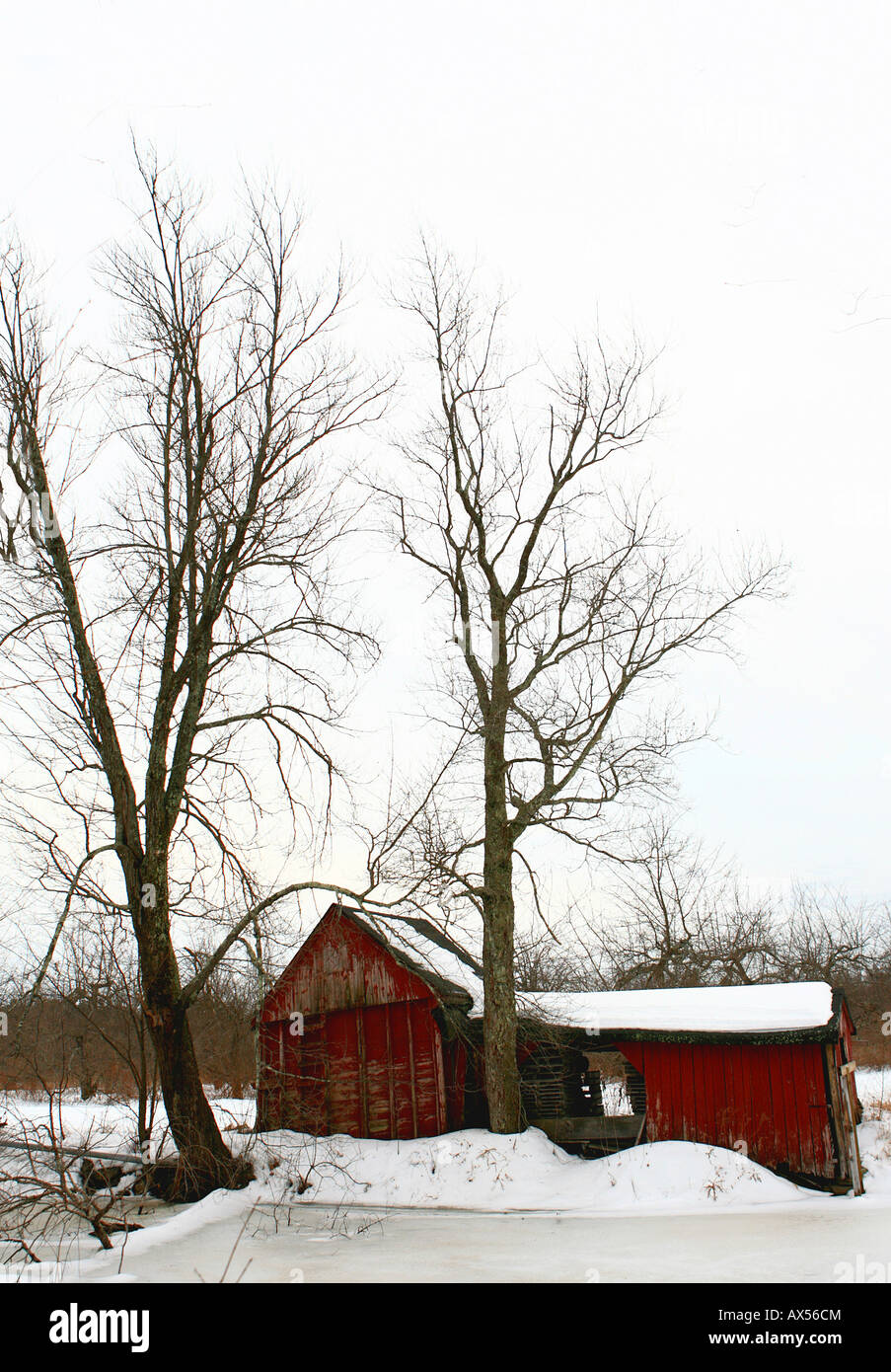 Red barn white trim hi-res stock photography and images - Alamy