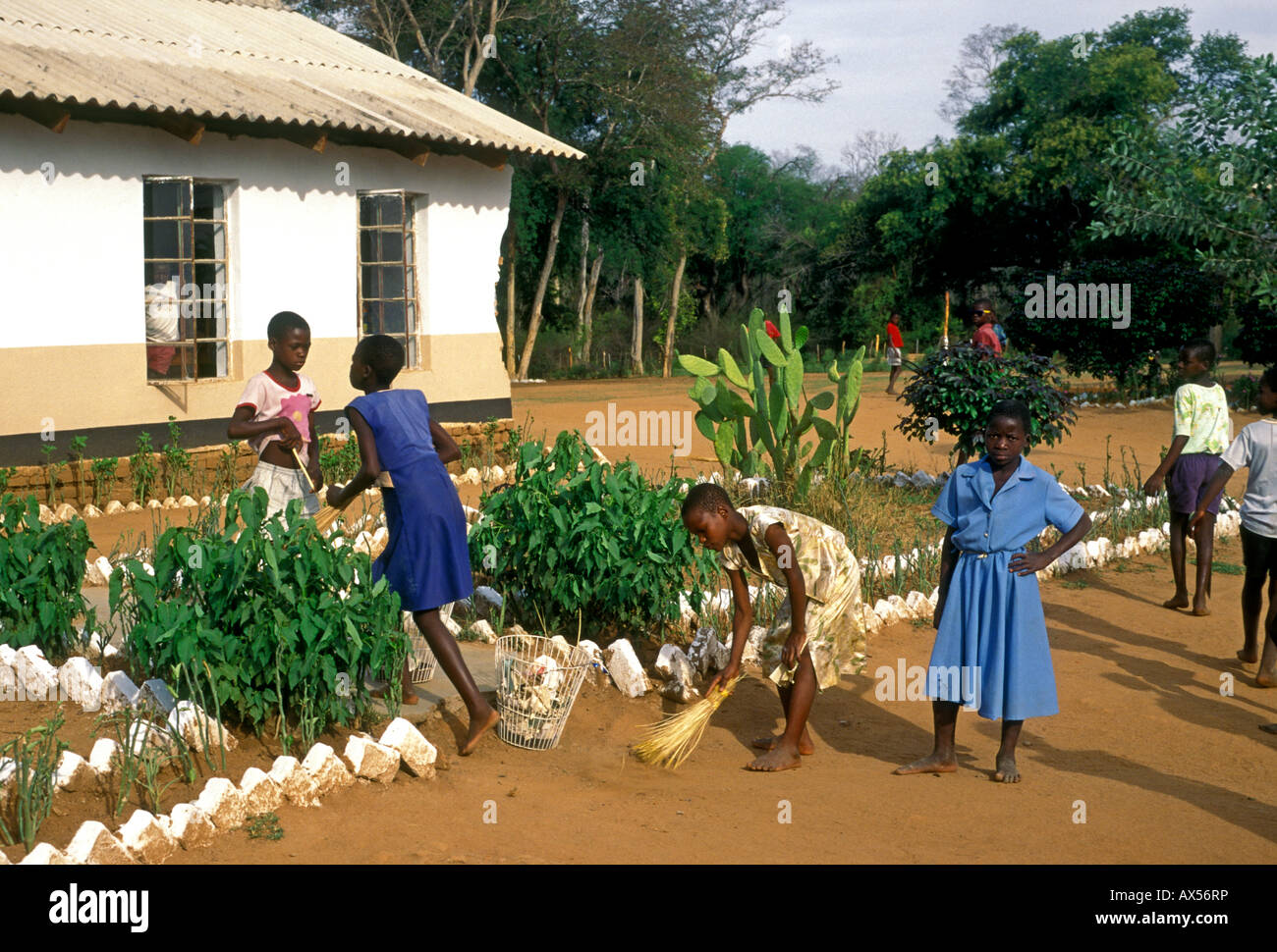 Zimbabweans, Zimbabwean children, Zimbabwean, children, schoolchildren ...