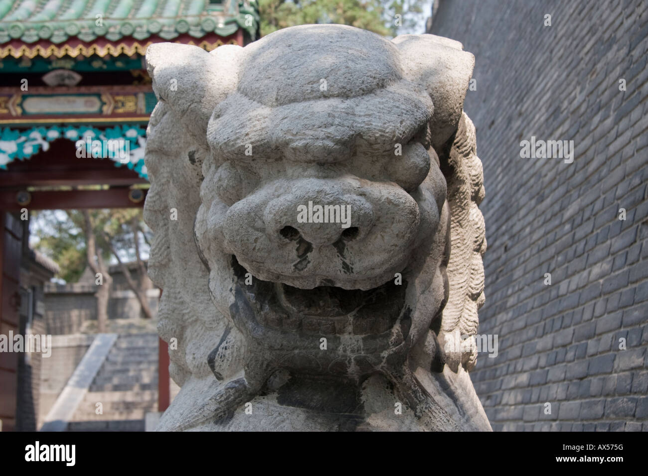Chinese stone lion figure Stock Photo - Alamy