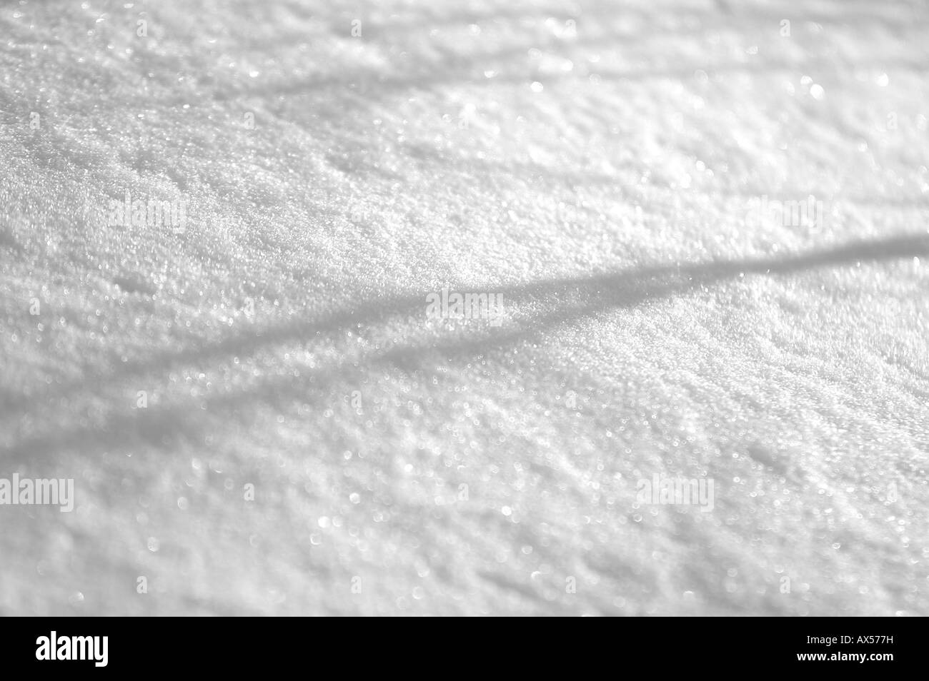 An unusual shadow of a tree branch across a frozen snowscape Stock ...