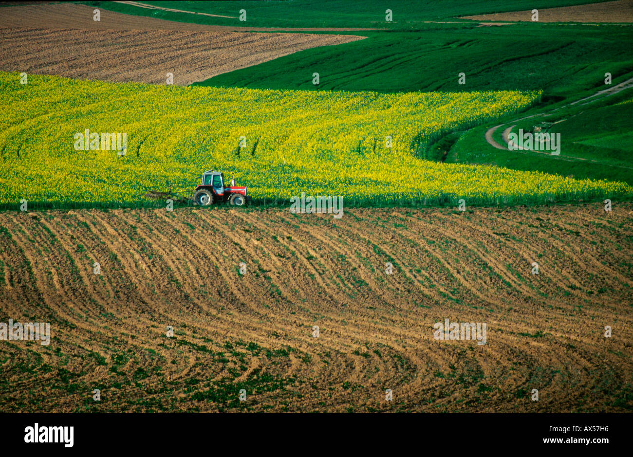 Tractor on field Stock Photo - Alamy