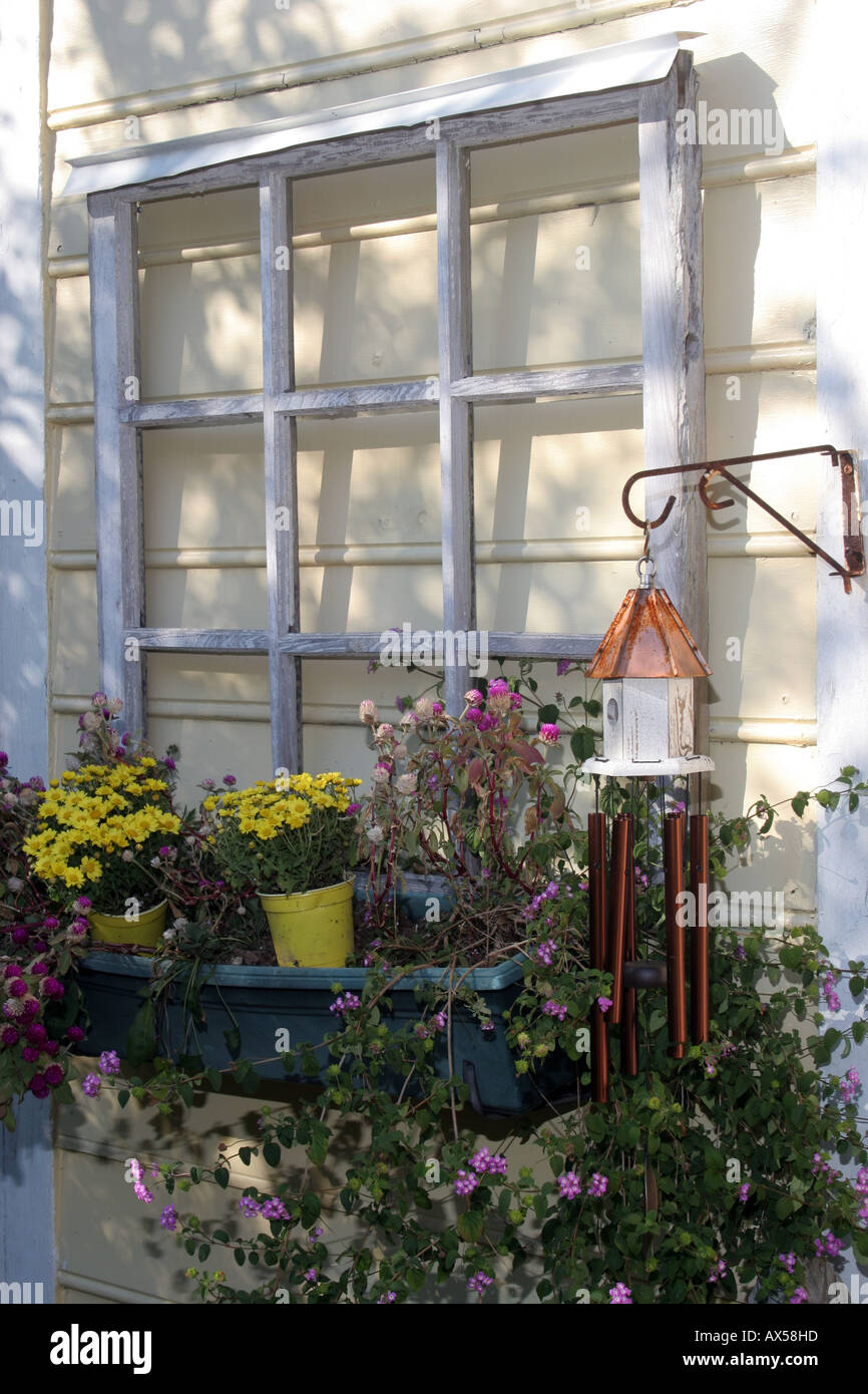 Window box with flowers and a false window with sunlight and shadows ...