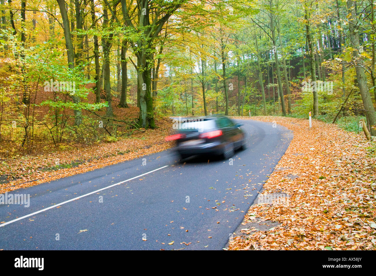 Car driving through forest hi-res stock photography and images - Alamy