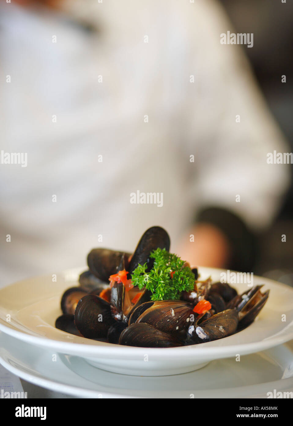 Closeup fresh mussels seafood hi-res stock photography and images - Alamy