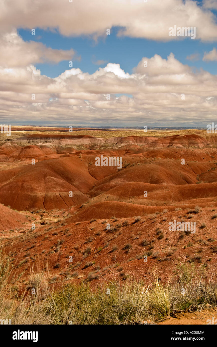 vertical landscape of painted desert arizona with cloudy sky Stock ...