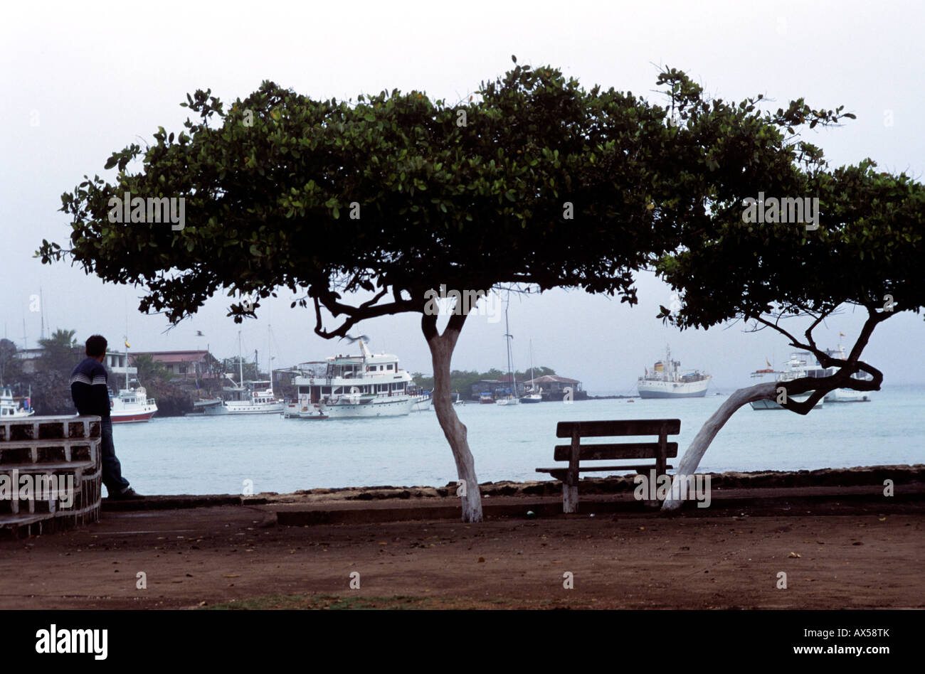 Lava bench hi-res stock photography and images - Alamy
