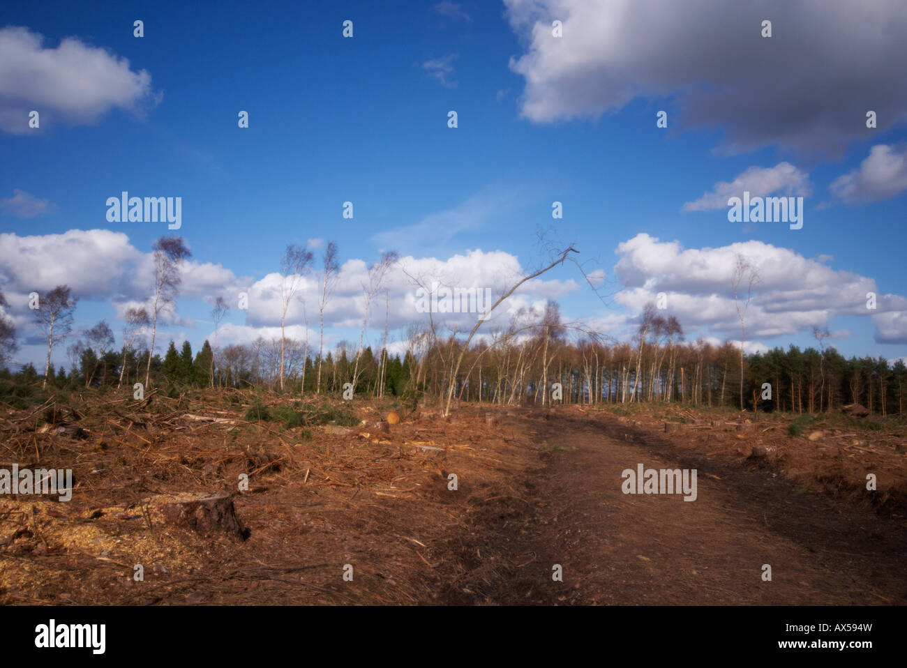 Landscape following deforestation in Derbyshire England Stock Photo - Alamy