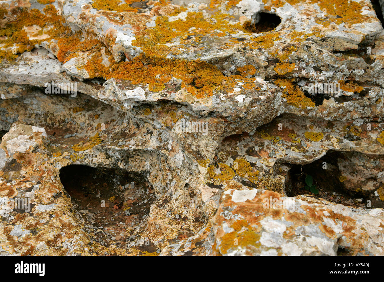 yellow moss stone rock Stock Photo - Alamy