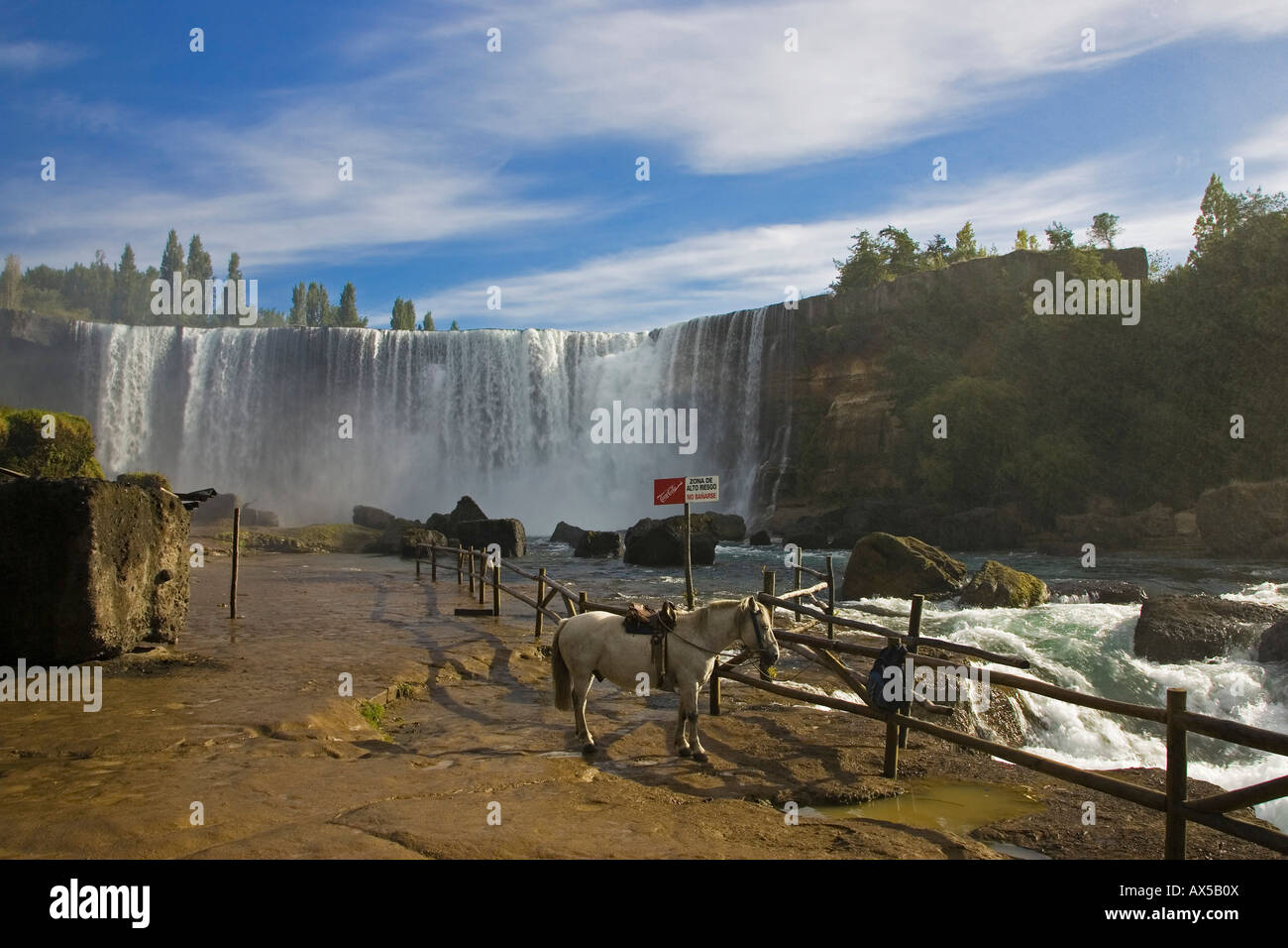 Horse at Salto del Laja, the biggest waterfall from Chile, river Rio ...