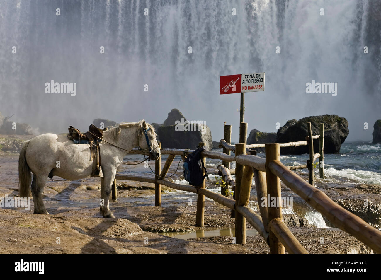 Horse at Salto del Laja, the biggest waterfall from Chile, river Rio ...