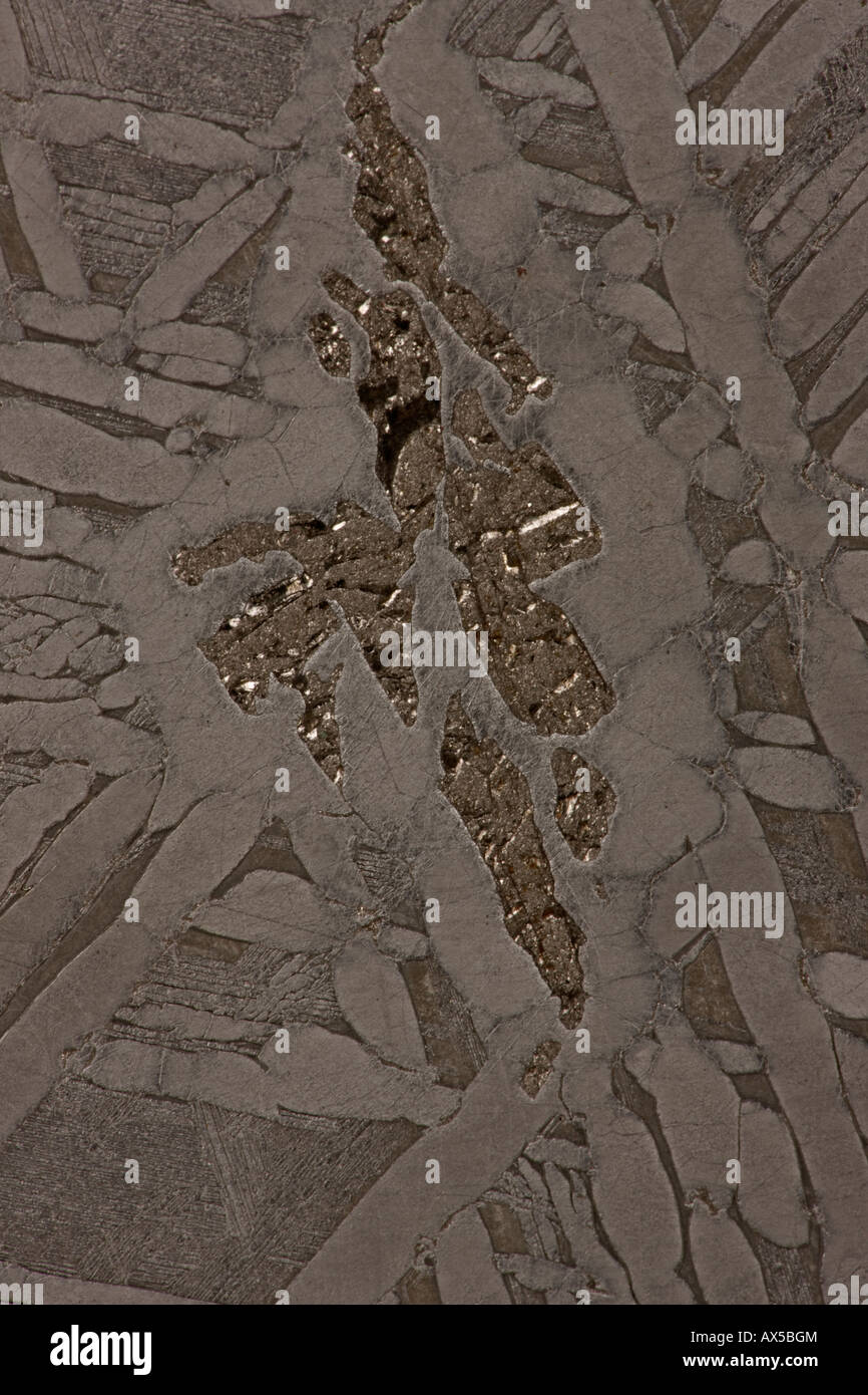 Seymchan Meteorite Cross-section - St Petersburg Paleontological Lab ...