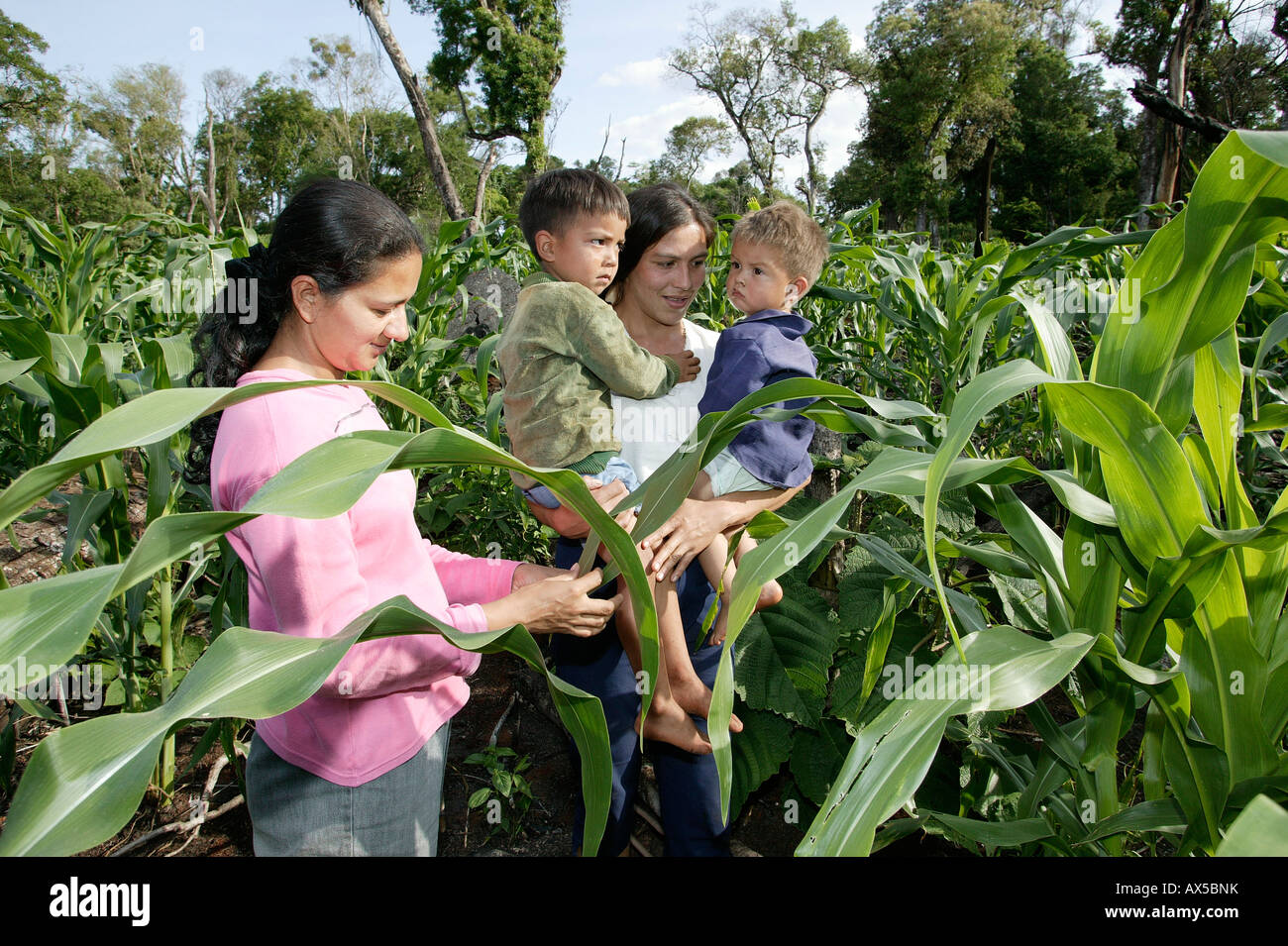 Women and children in a corn- and cassava field, freshly-cleared ...