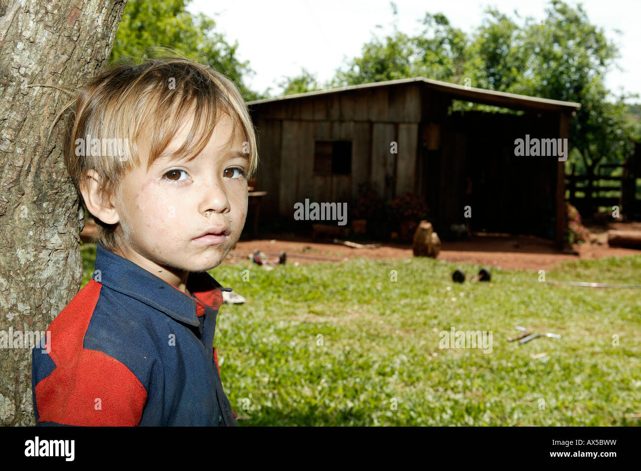 Boy leaning against a tree in front of a house, Paraguay, South America ...