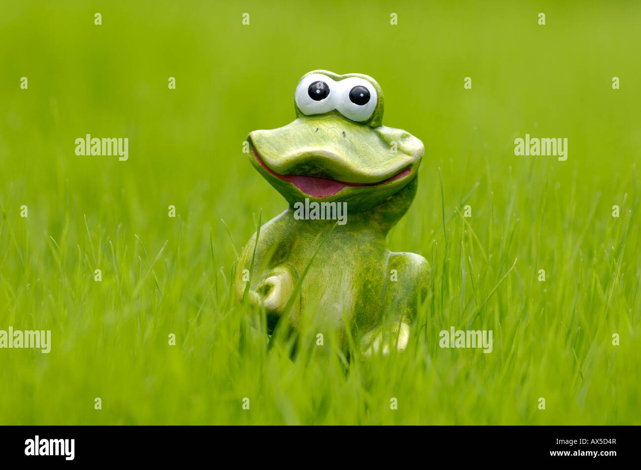 Lawn frog hi-res stock photography and images - Alamy