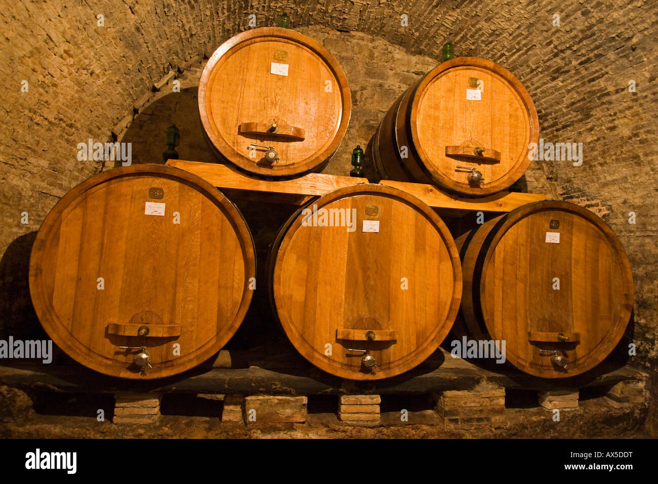 Old wine cellar in Montepulciano, Tuscany, Italy, Europe Stock Photo ...