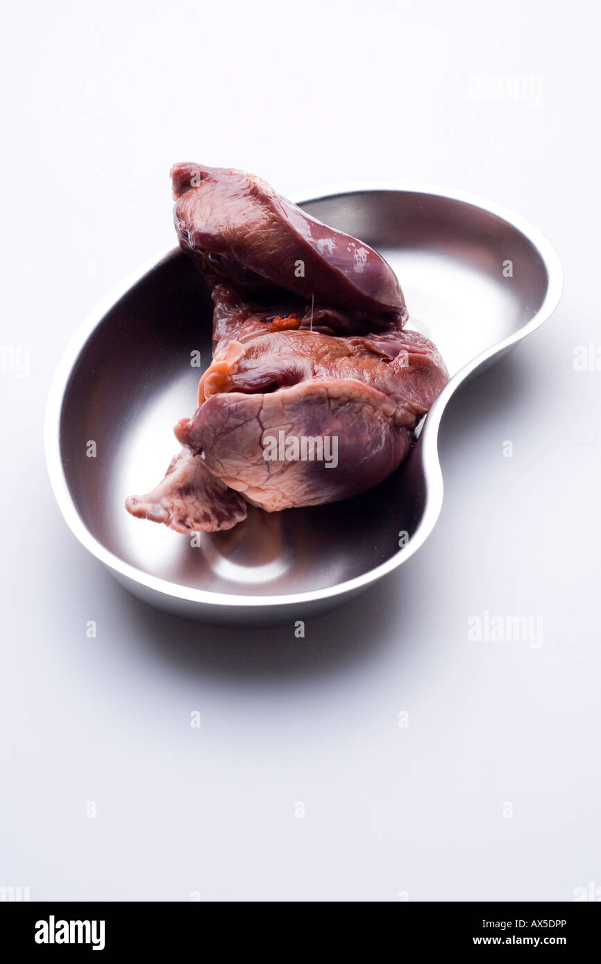 Animal heart hi-res stock photography and images - Alamy