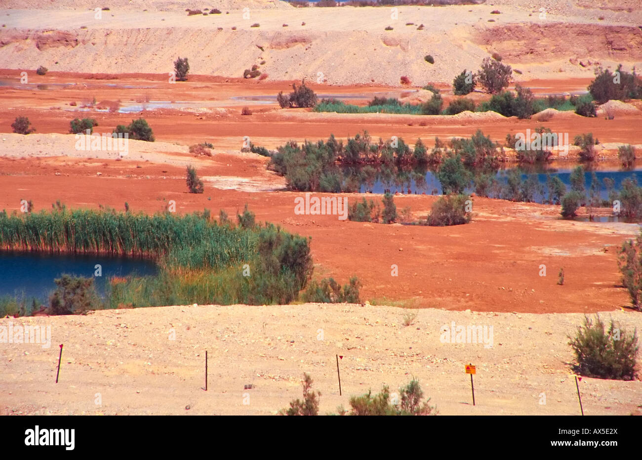 Israel, Water pools in an Oasis in the "arava" - the Israeli Savannah ...