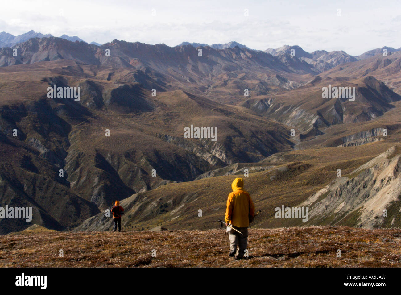 Hiker in the mountains, St. Elias Range, Yukon Territory, Canada Stock ...